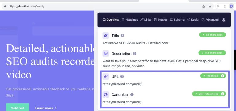 Real World 'Duplicate Without User-Selected Canonical' Fix - Detailed.com